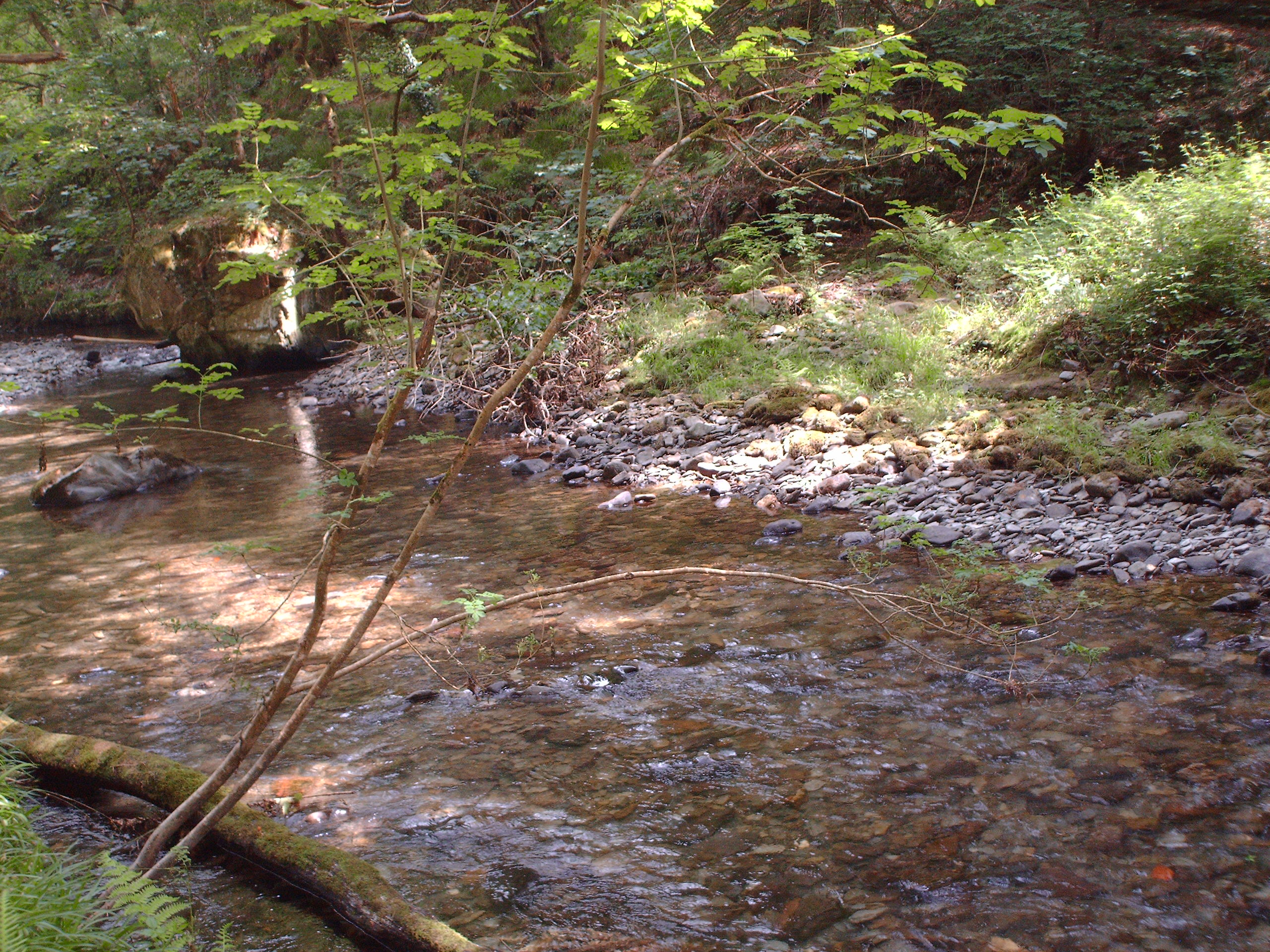 Elenydd and Cwm Eleri – Rigantona